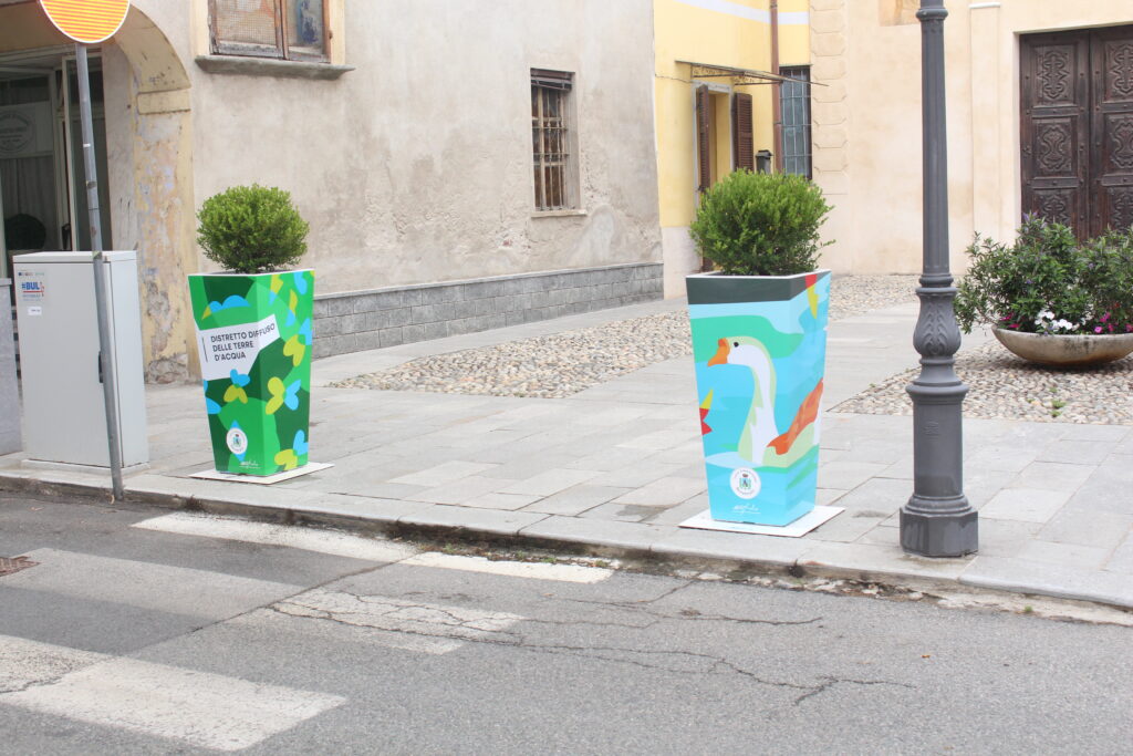 Special Lines - Plart Design